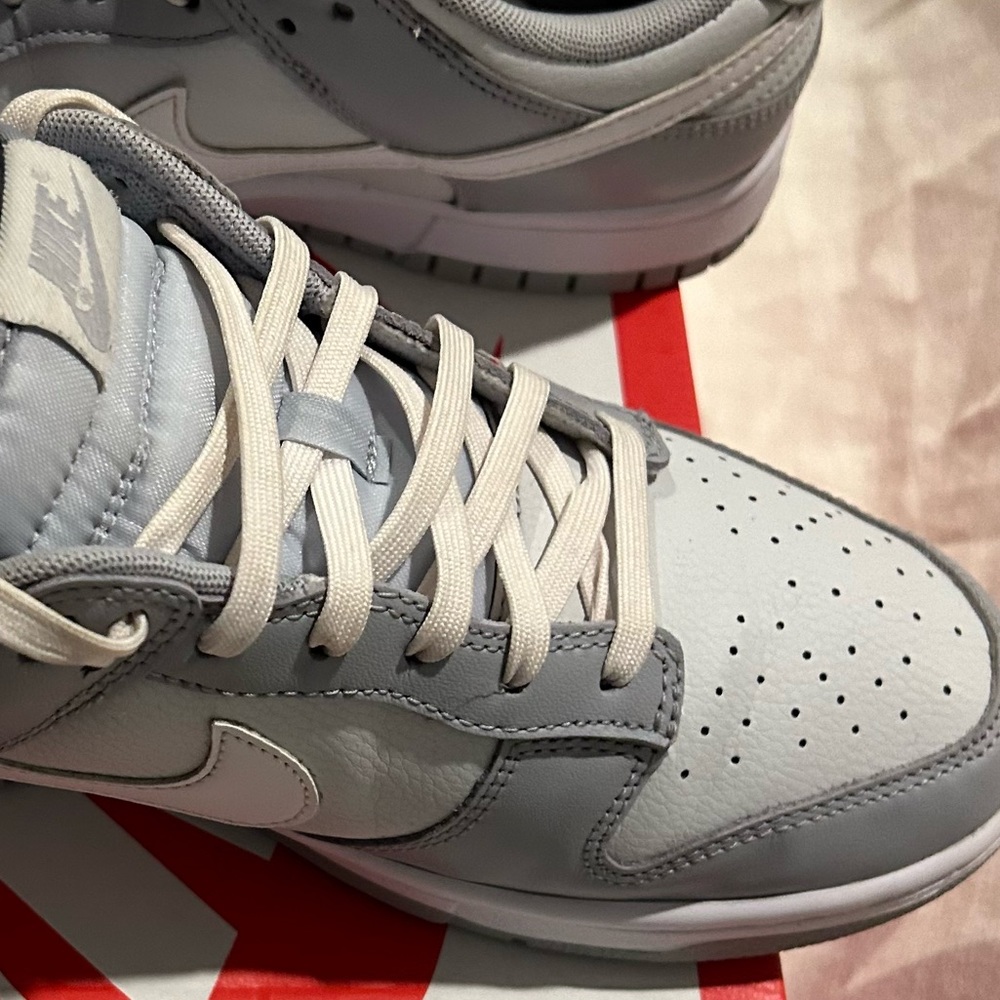 Nike Dunk Grey Special 1st Release Lightly Worn Size … - Gem